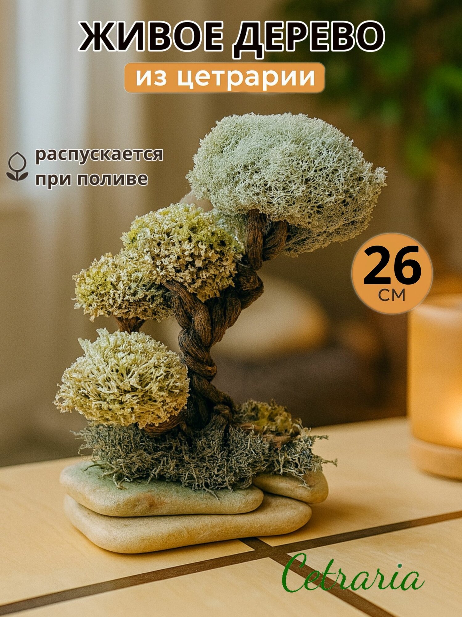 Декоративное настольное дерево из мха цетрарии эко-декор и подарок