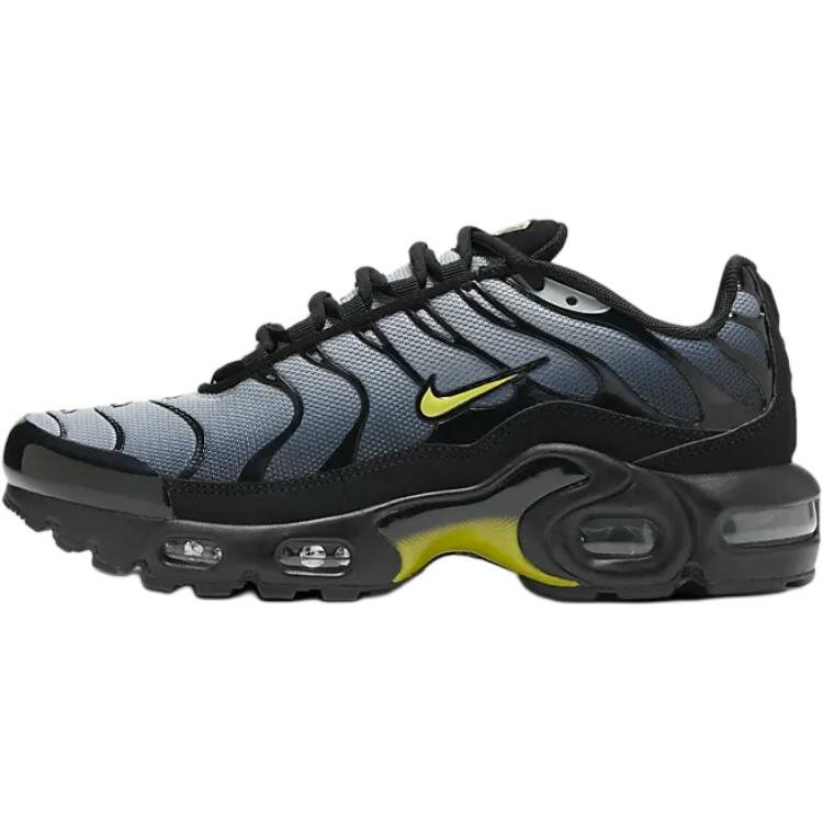 Кроссовки Air Max Plus