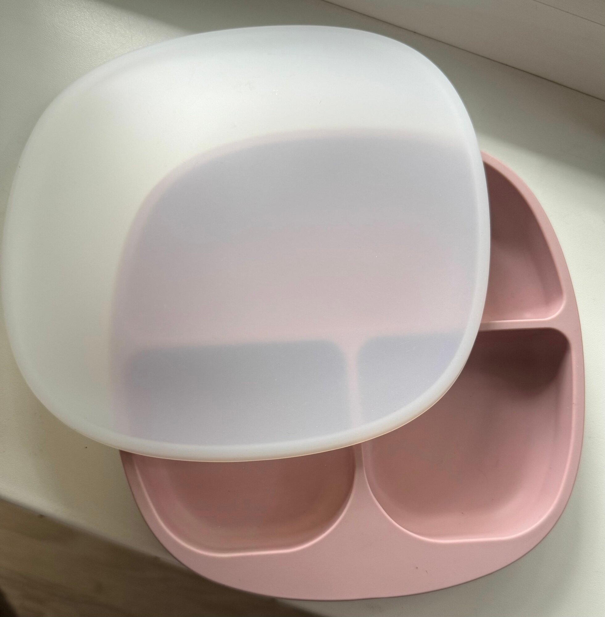 Секционная тарелка на присоске