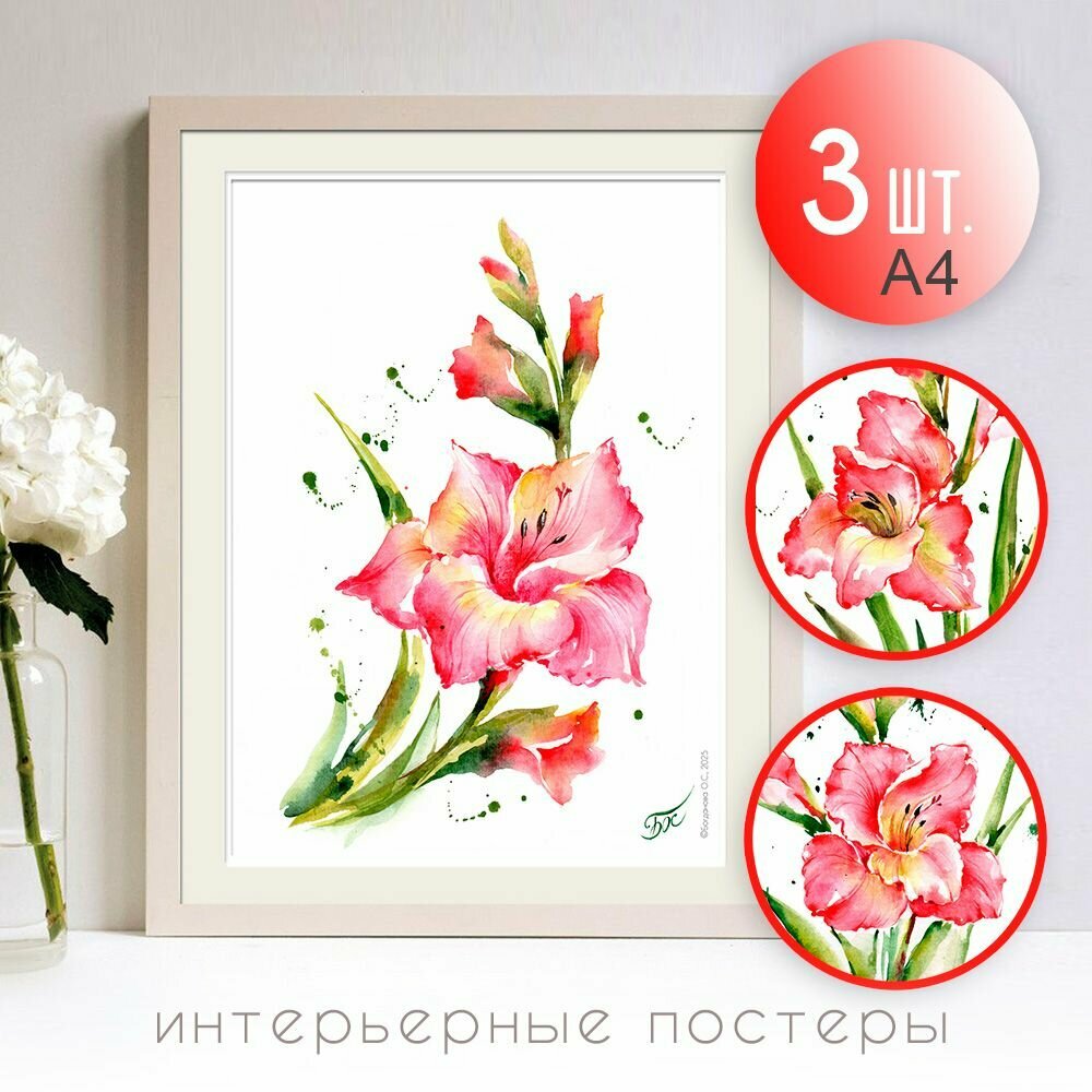 Набор интерьерных постеров "Красные Гладиолусы "