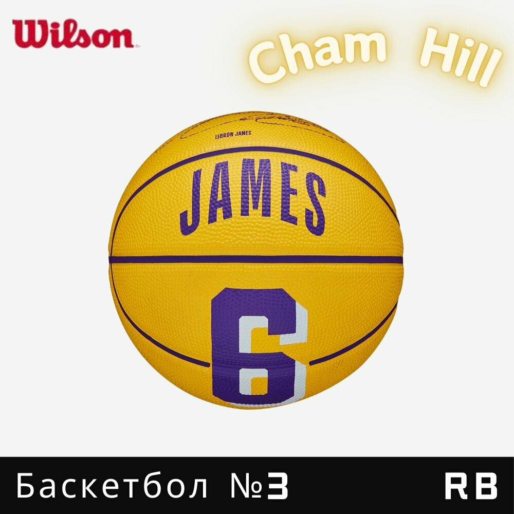 Мяч баскетбольный NBA PLAYER ICON MINI LEBRON JAMES, WZ4007201CN3, размер 3