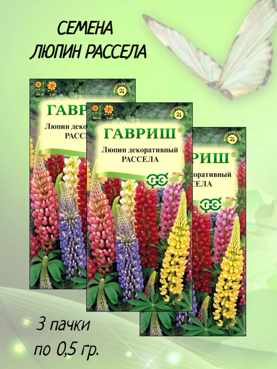 Семена Люпин Рассела многолетний