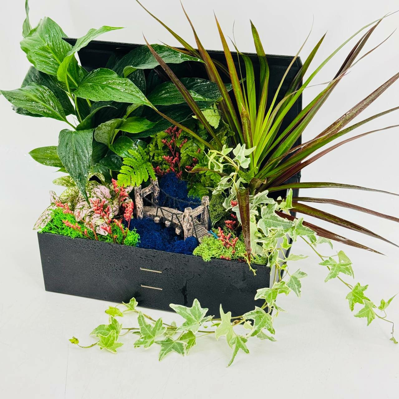 Композиция комнатных растений в коробке книга. Папоротник, фиттония, спатифиллум, юкка, плющ