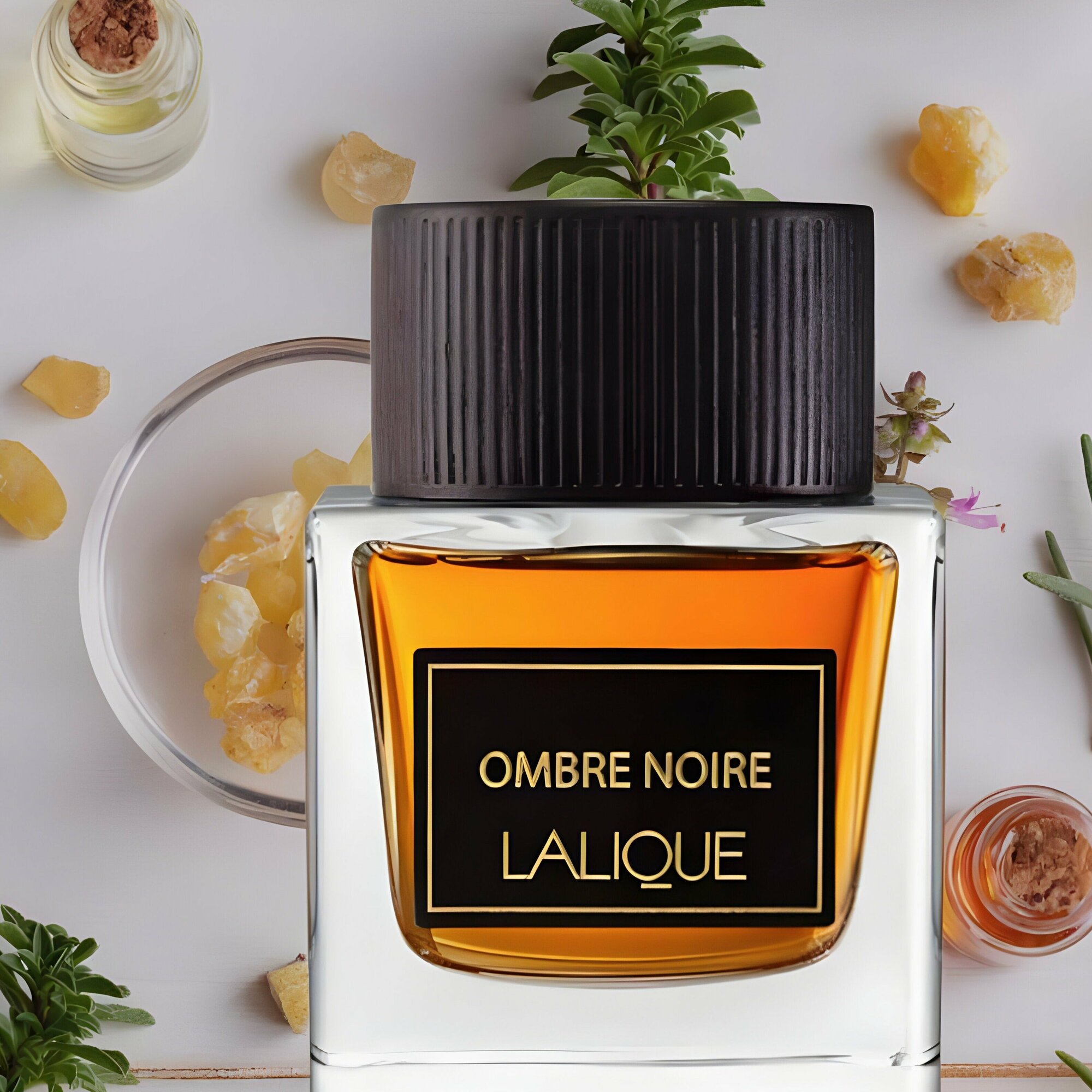 Lalique Ombre Noire парфюмерная вода 100 мл, аромат для него