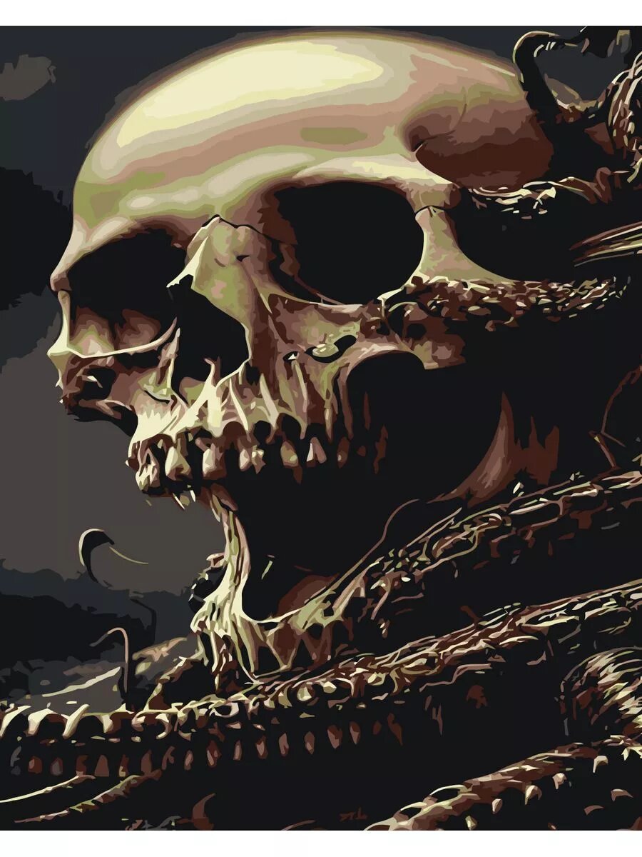 Картина по номерам Череп