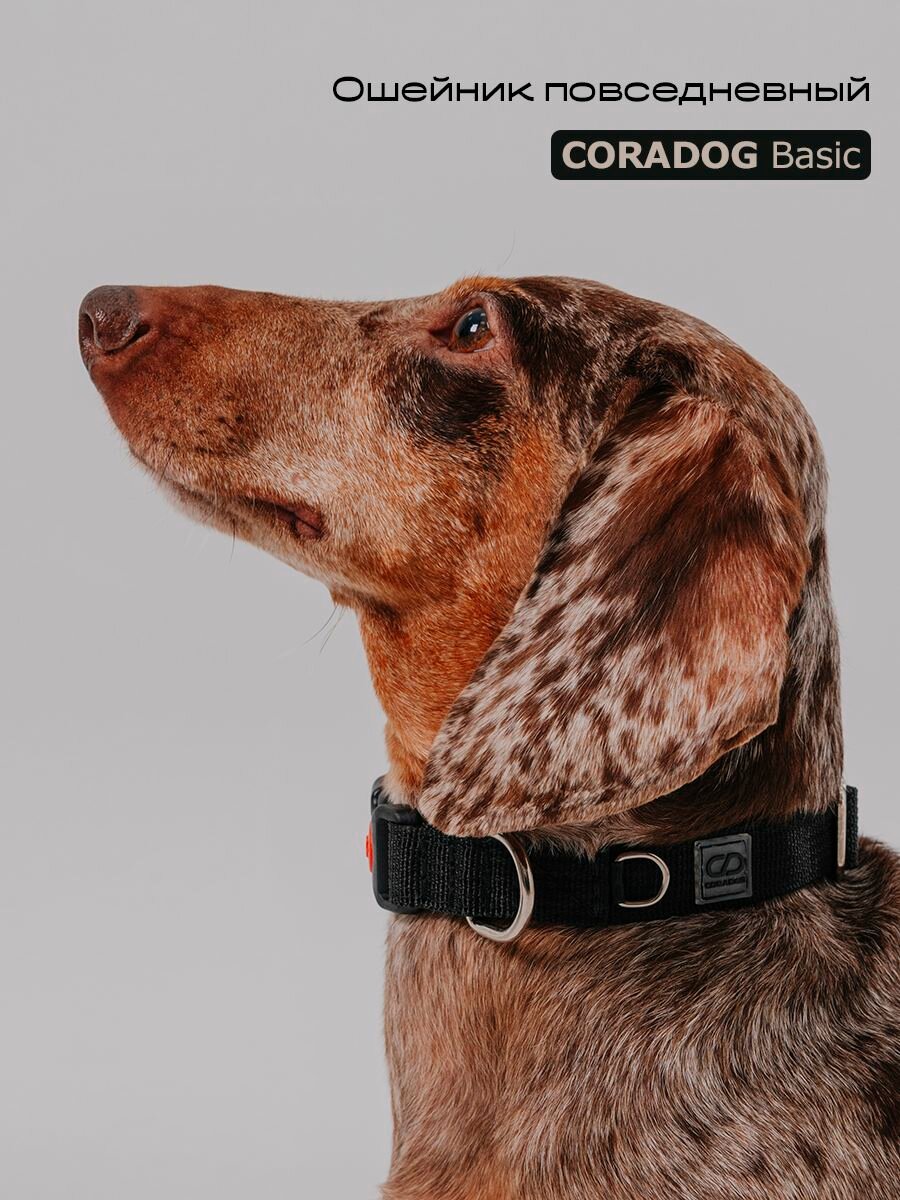 Ошейник повседневный, CORADOG Basic, для маленьких собак, черный, размер S 28-44 см