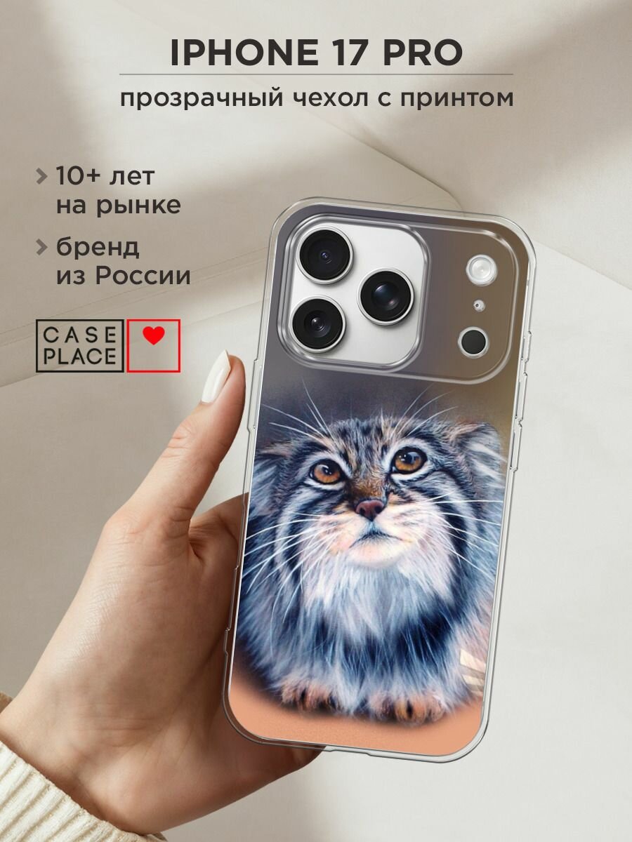 Чехол на Apple iPhone 17 Pro / Айфон 17 Про с принтом "Кот манул 2"