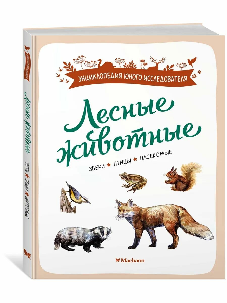 Лесные животные. Энциклопедия для детей с иллюстрациями