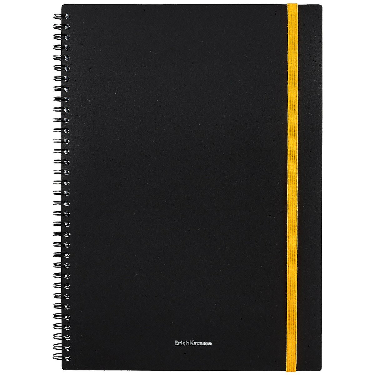 Тетрадь в клетку Erich Krause, Accent, А4, 80 листов, в ассортименте