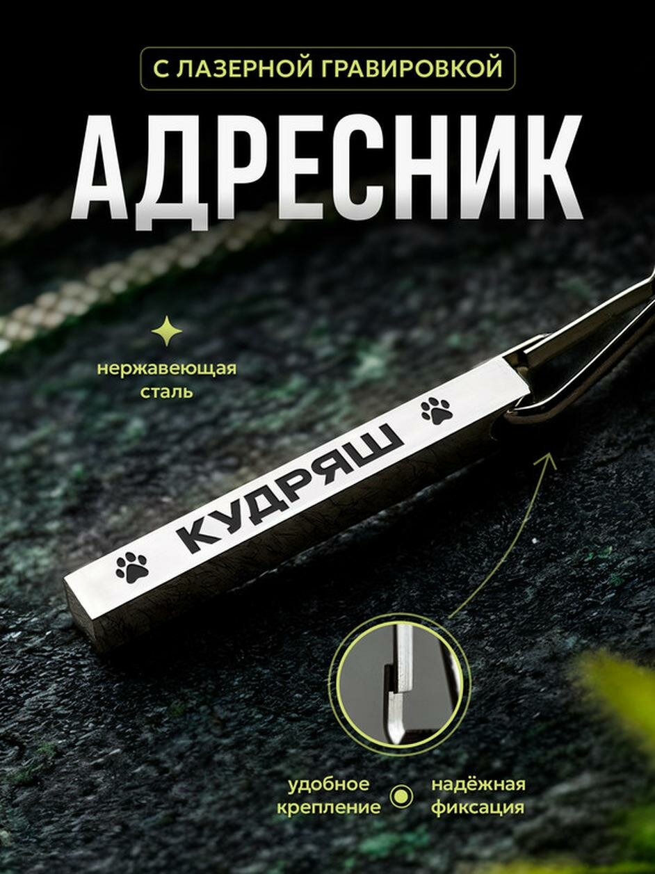 Адресник для собаки с гравировкой, нерж. сталь, серебристый, Кудряш