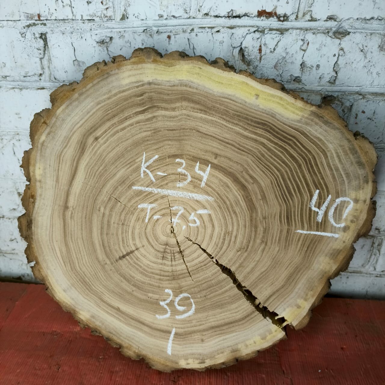 Торцевой спил дерева Карагач К-34, диаметр 39-40, толщина 7,5 см.