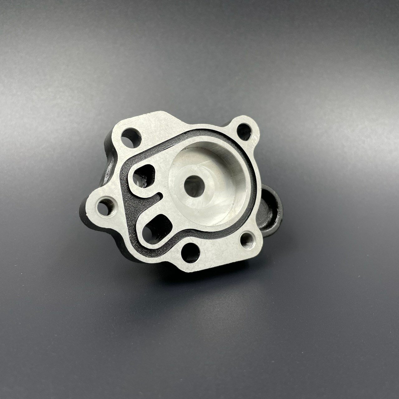 Масляная помпа Yamaha F6-9.9 (F9.9-01.05.01.06) (Производитель PREMARINE)