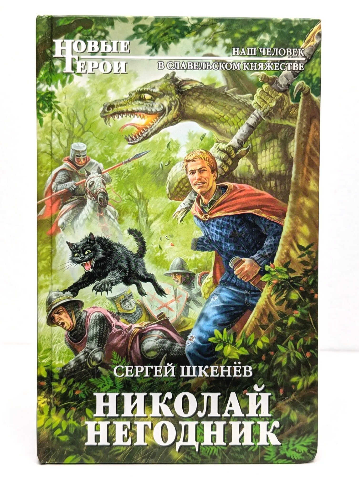 Николай Негодник Шкенев Сергей Николаевич 2013