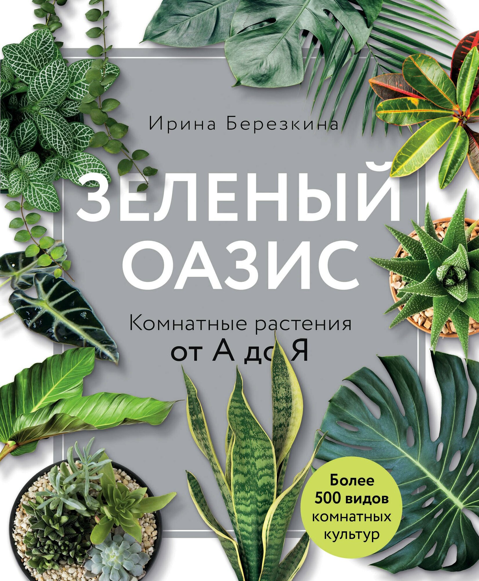 Книга: "Зеленый оазис. Комнатные растения от А до Я" от Березкина И, русский язык, Сад. Огород. Цветоводство