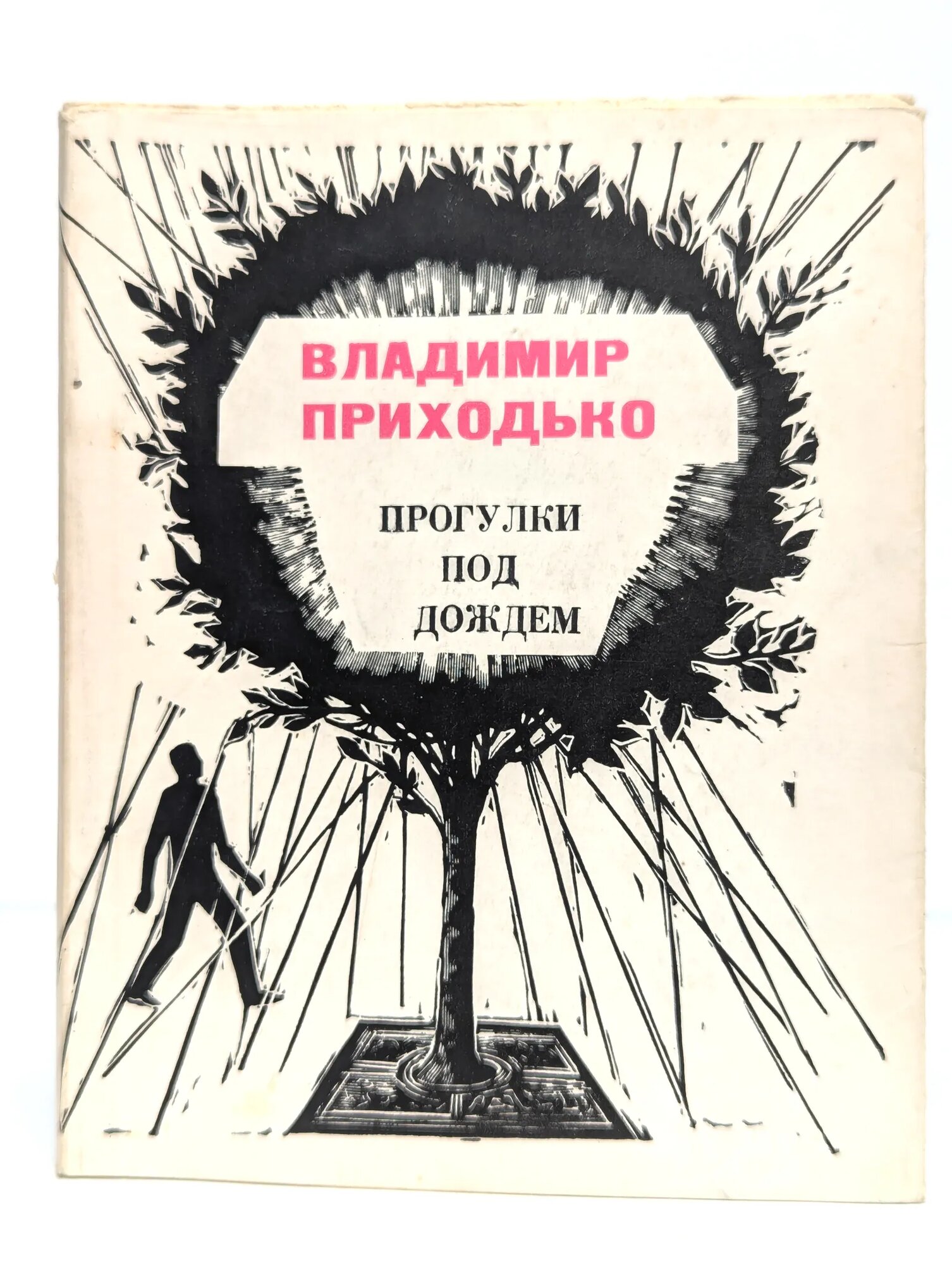Прогулки под дождём Приходько Владимир Александрович 1965