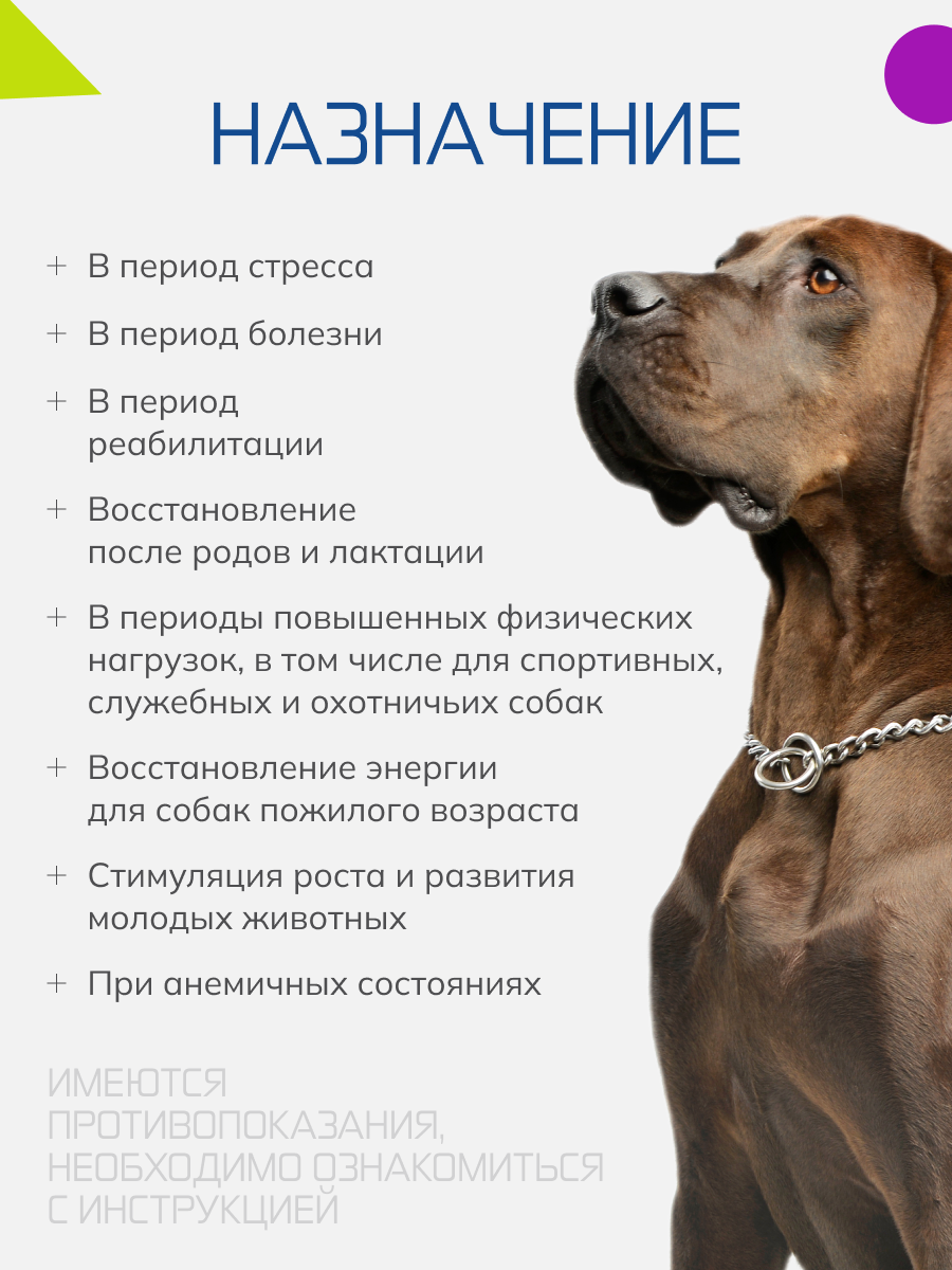 Бутофан Актив NITA-FARM, пероральная кормовая добавка для кошек и собак, 100мл — фото 1