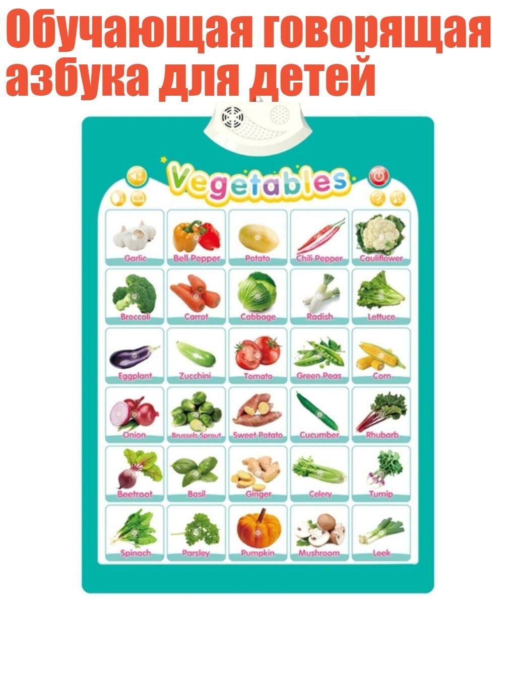Обучающая говорящая азбука для детей, Овощной