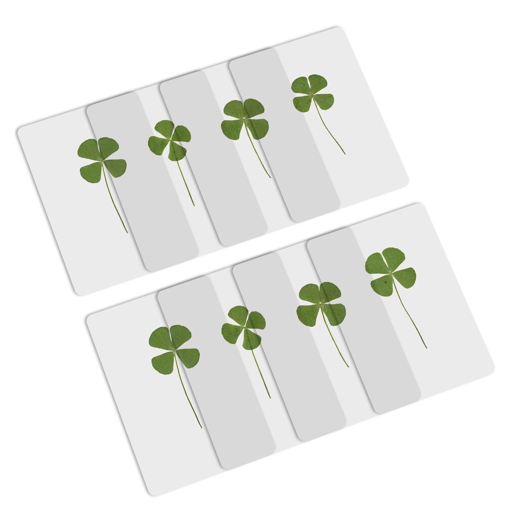 10шт Натуральный Сушеный Лист Закладки Разделитель Страниц Декоративный Держатель Страницы Книги Благодарственный Подарок для Учителя Любителя Книг