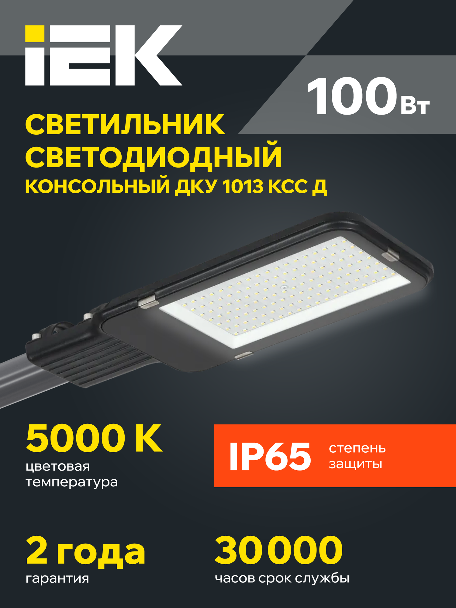 Светильник светодиодный IEK ДКУ 1013-100Д, 100Вт, 5000К, IP65, алюминий, черный, световой поток 10000лм