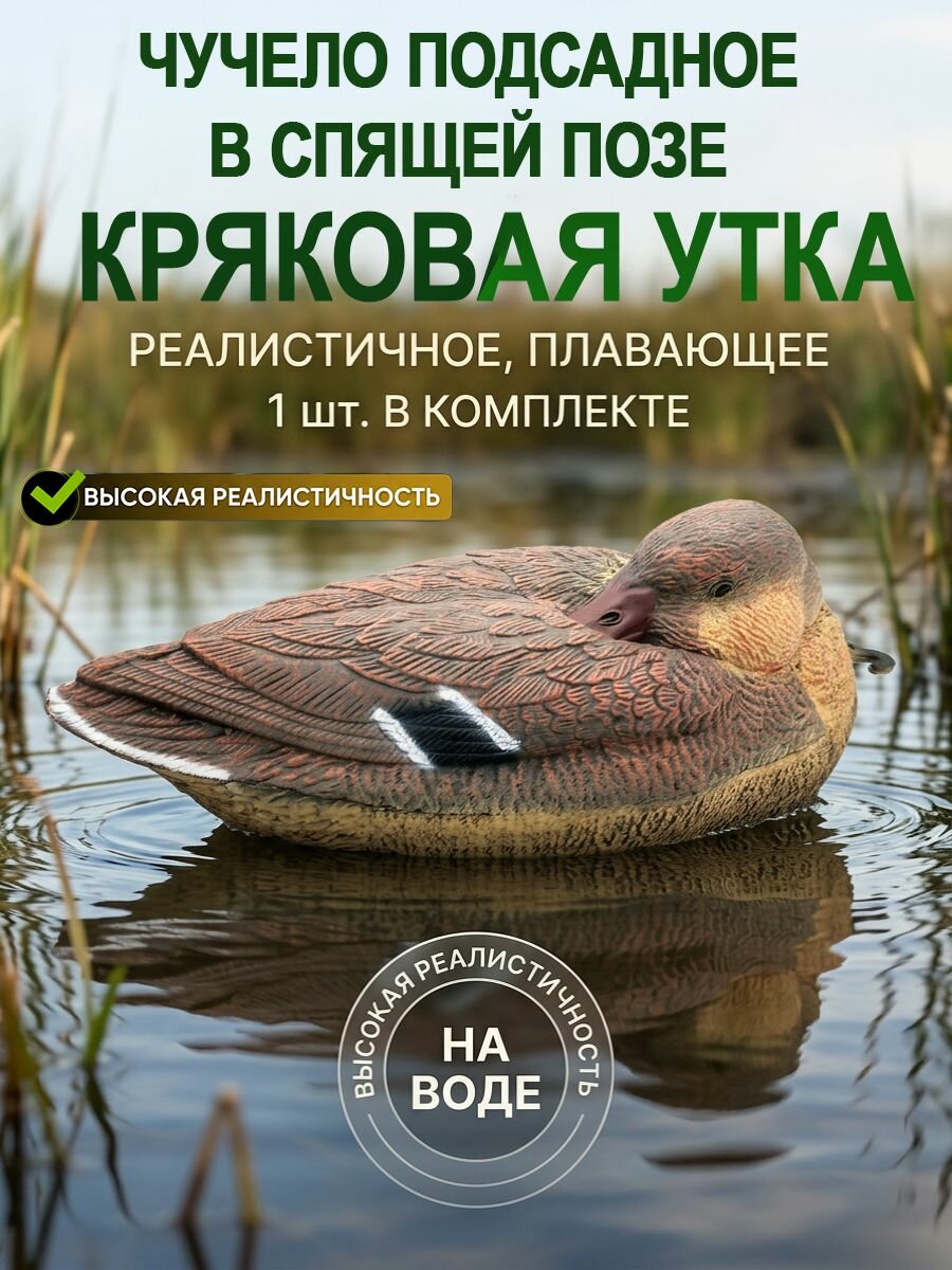 Чучело подсадное утки кряквы в спящей позе - плавающее, реалистичное, 1 шт
