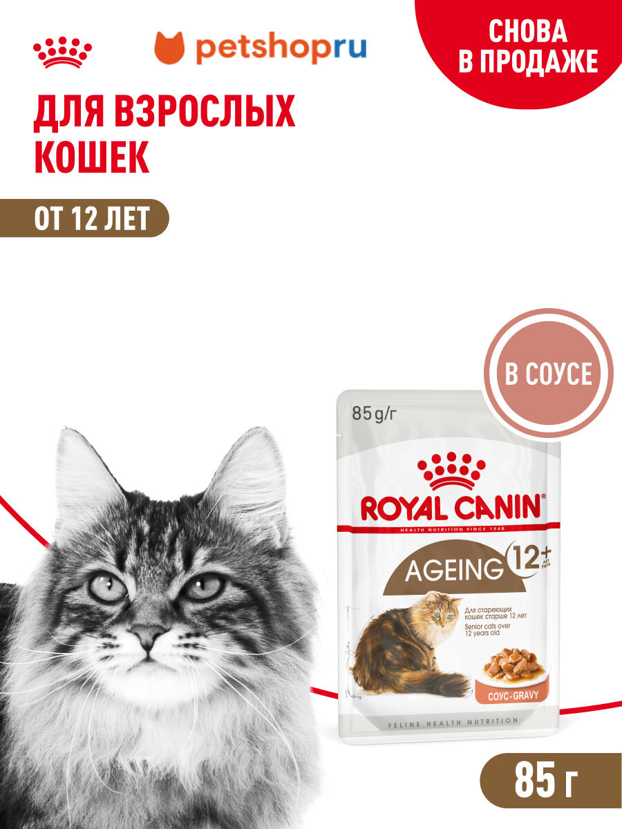 Royal canin Паучи для кошек старше 12 лет, кусочки в соусе, 1 шт.