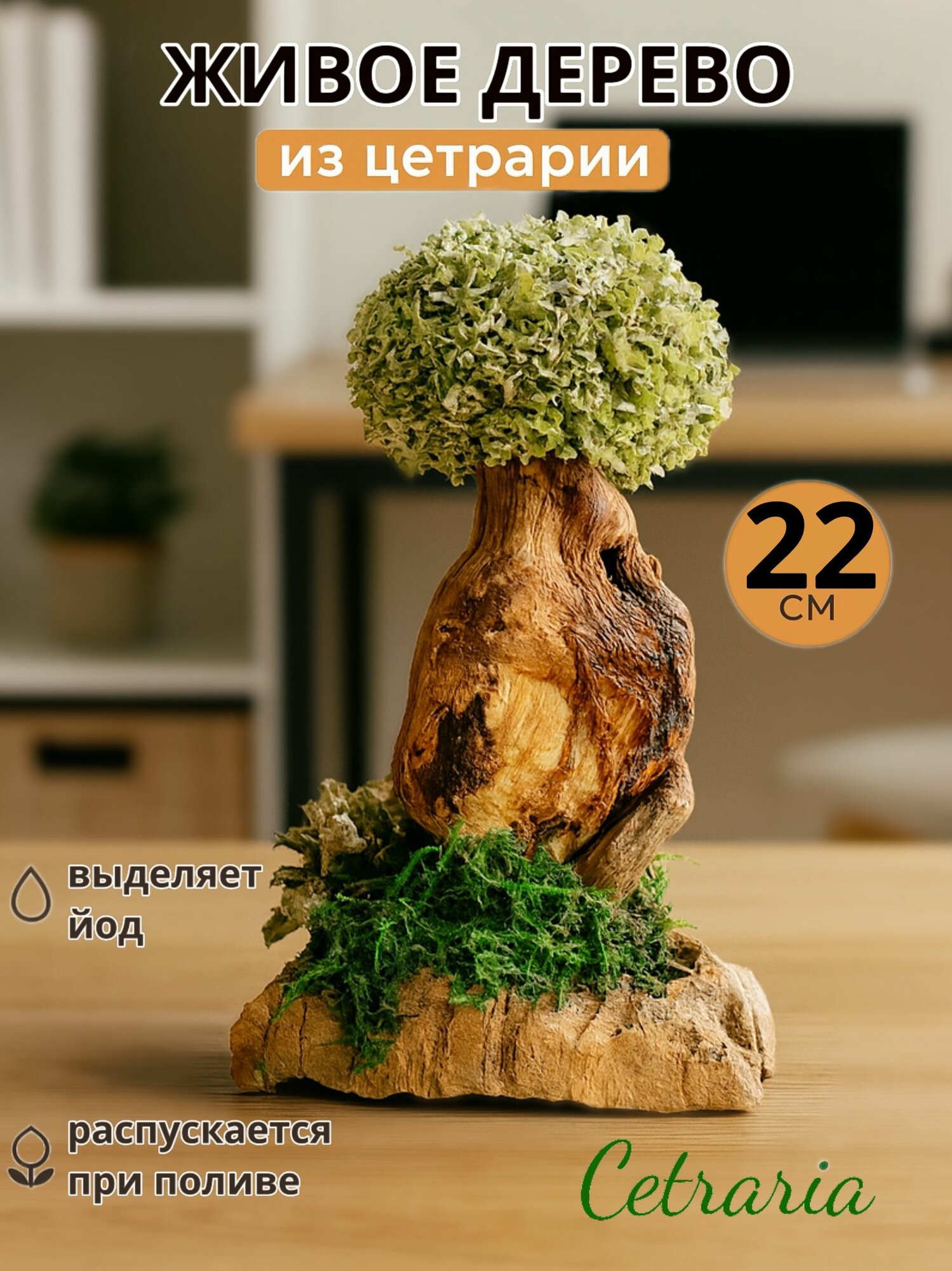 Искусственный бонсай из цетрарии декоративное дерево ручной работы для интерьера и подарка