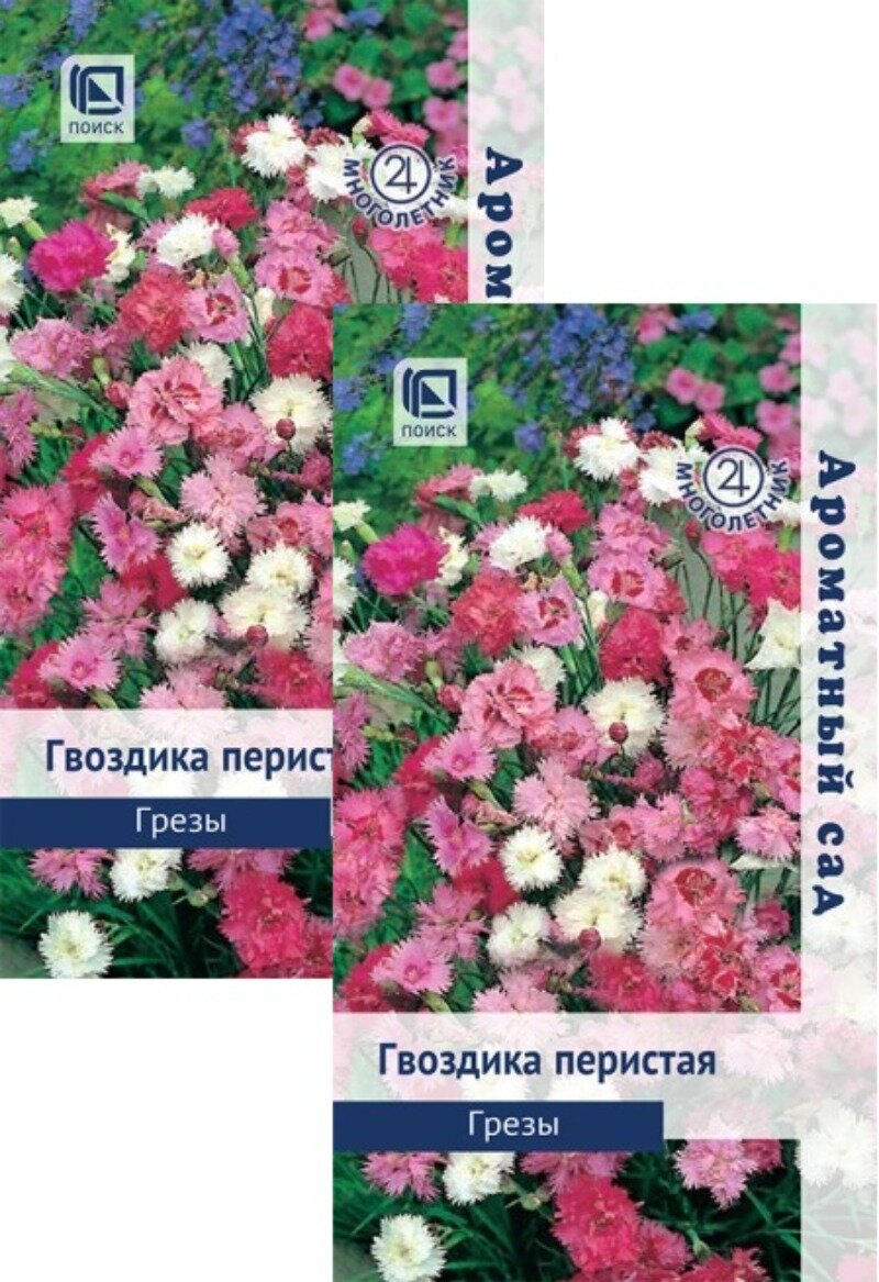 Семена Гвоздика перистая Грезы (0,1 г), 2 пакета, Агрофирма Поиск