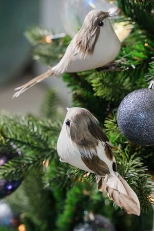 Набор ёлочных игрушек лесные птички на клипсе, перо, 12 см, 2 шт, Kaemingk 727276