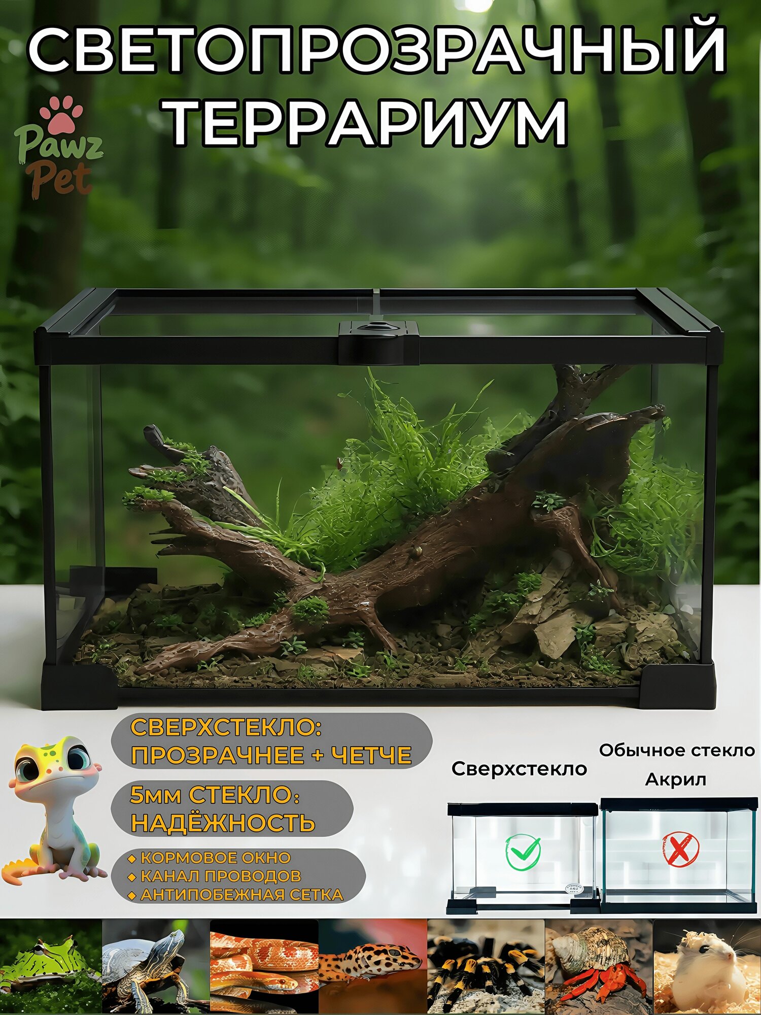 Панорамный террариум 360 градусов из сверхстекла для рептилий, змей, амфибий, улиток и паука