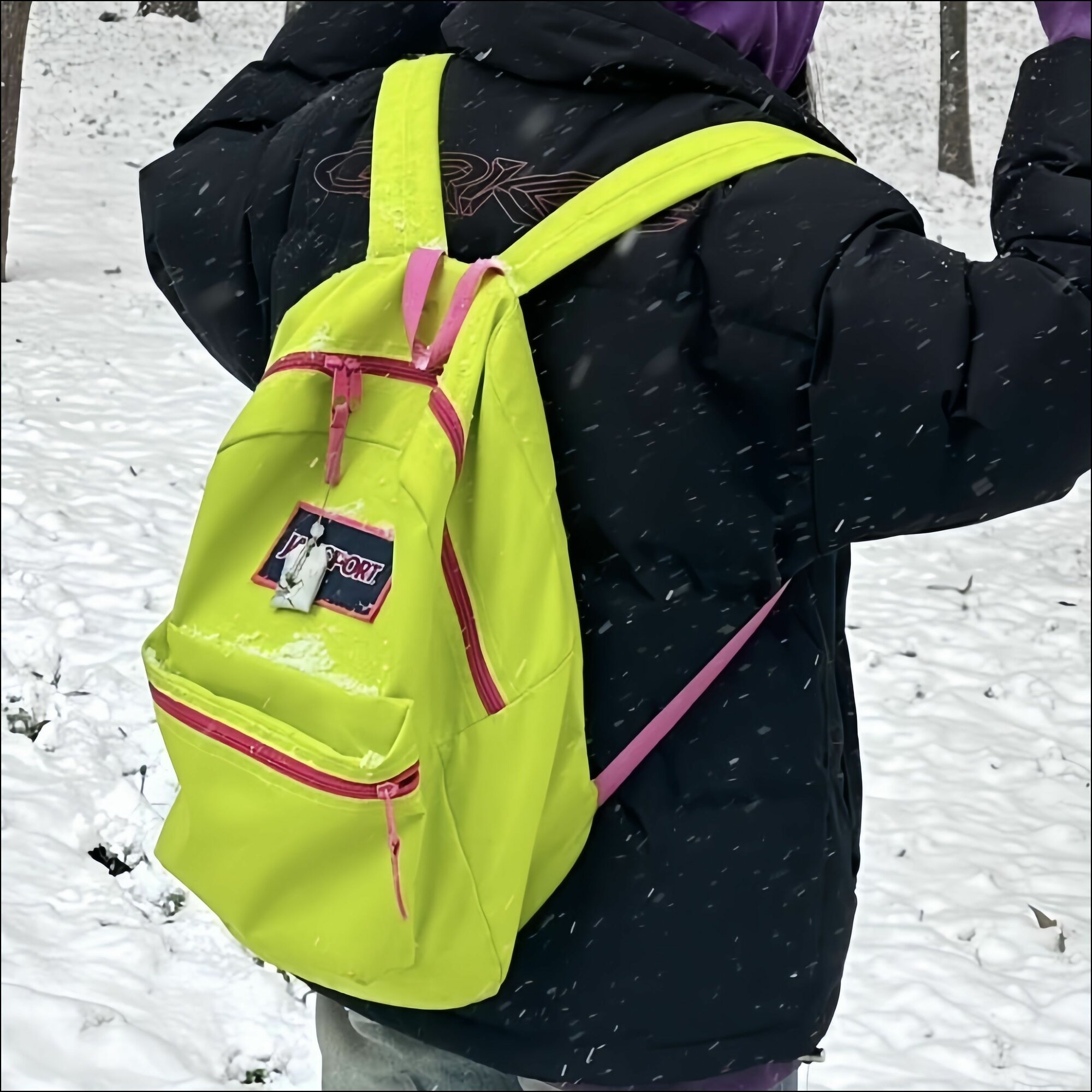 Рюкзак JanSport, Водонепроницаемость, отдых, модные рюкзаки для мужчин и женщин
