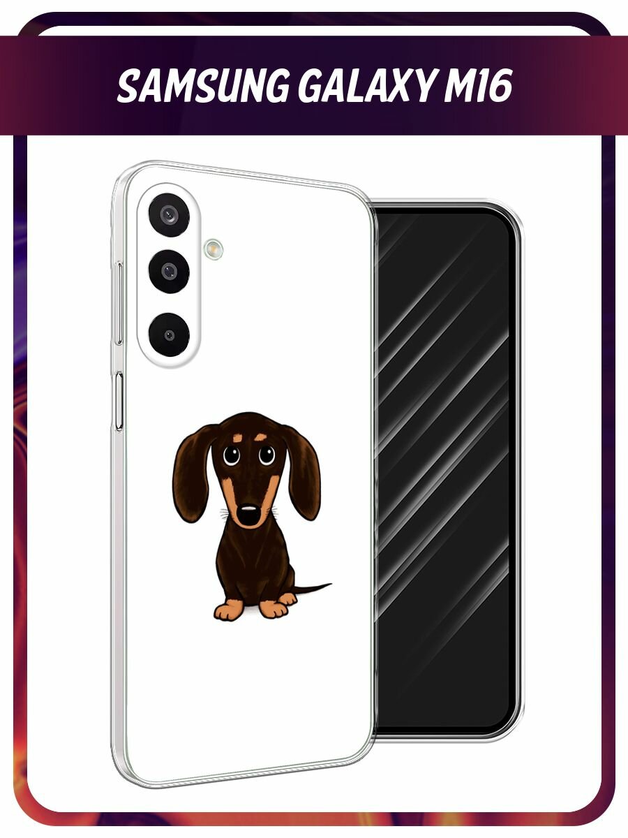 Чехол на Samsung Galaxy M16 / Самсунг Галакси М16 с принтом "Маленькая такса"