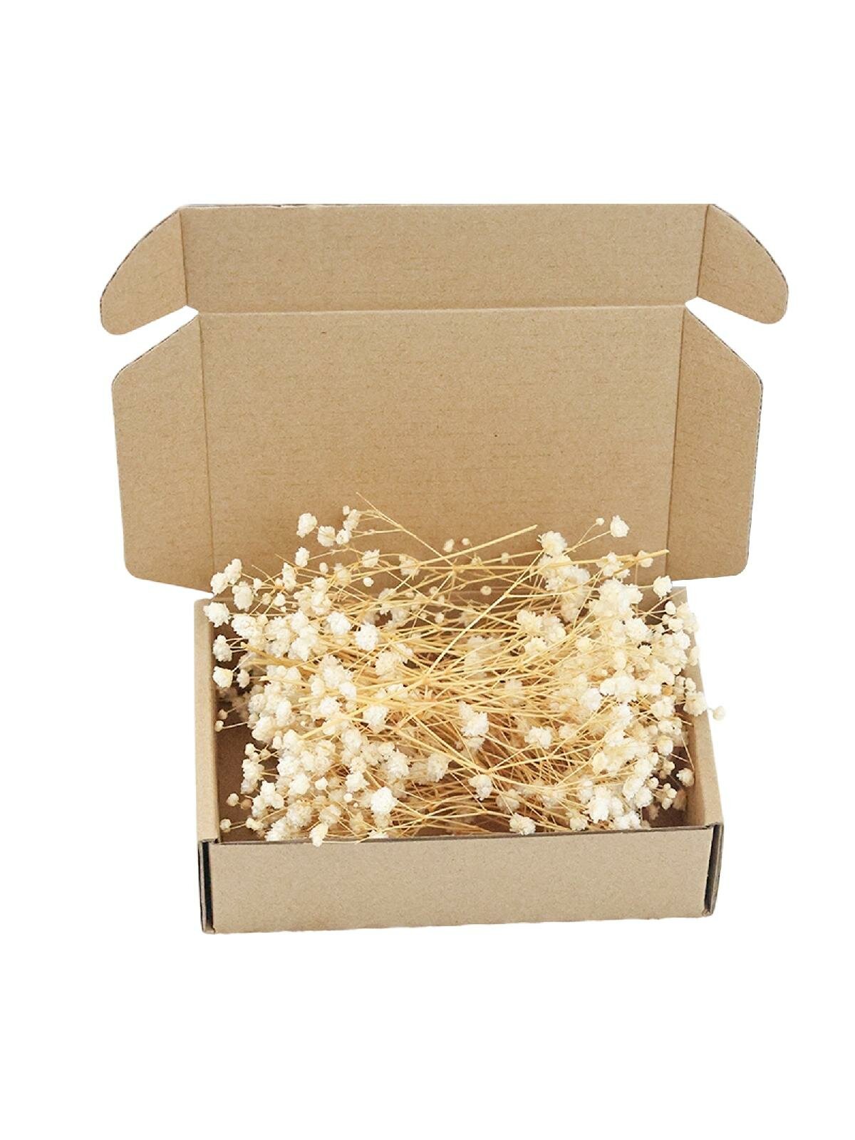 Сушеный букет гипсофилы, Вечнозеленые цветочные стебли для украшения вазных композиций