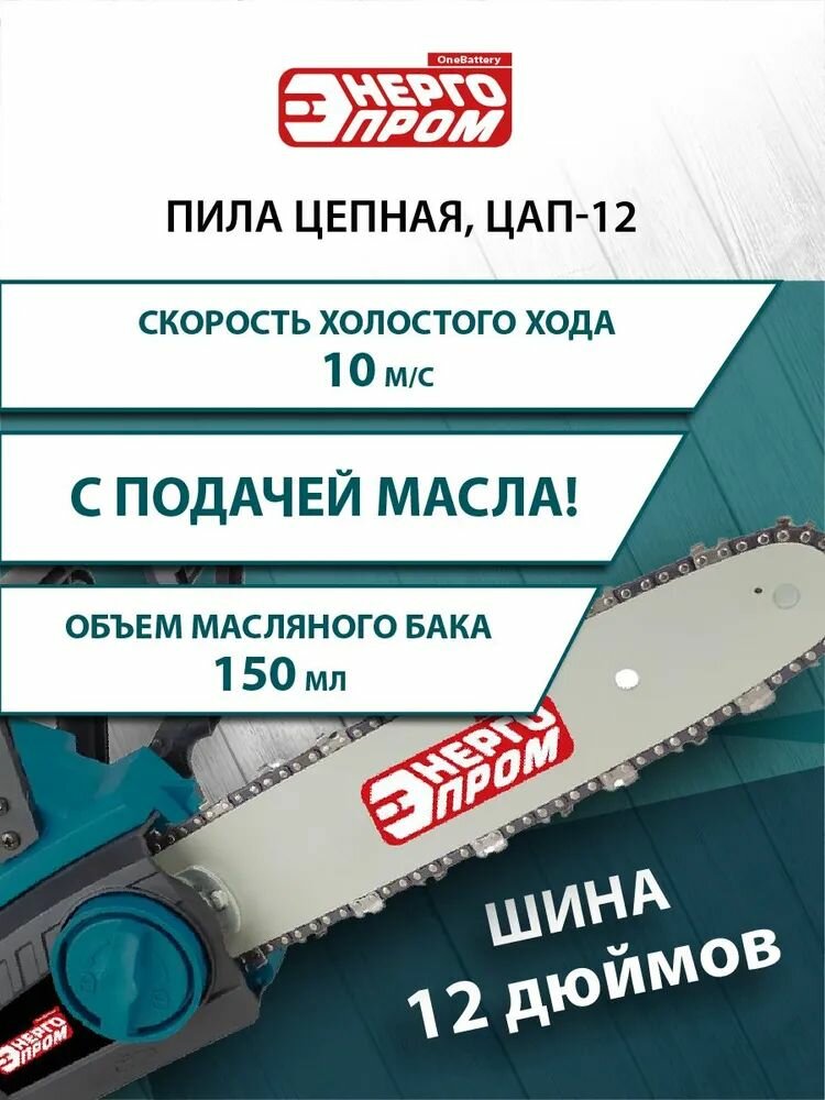 Пила цепная аккумуляторная ONE BATTERY "энергопром Home Master" ЦАП-12