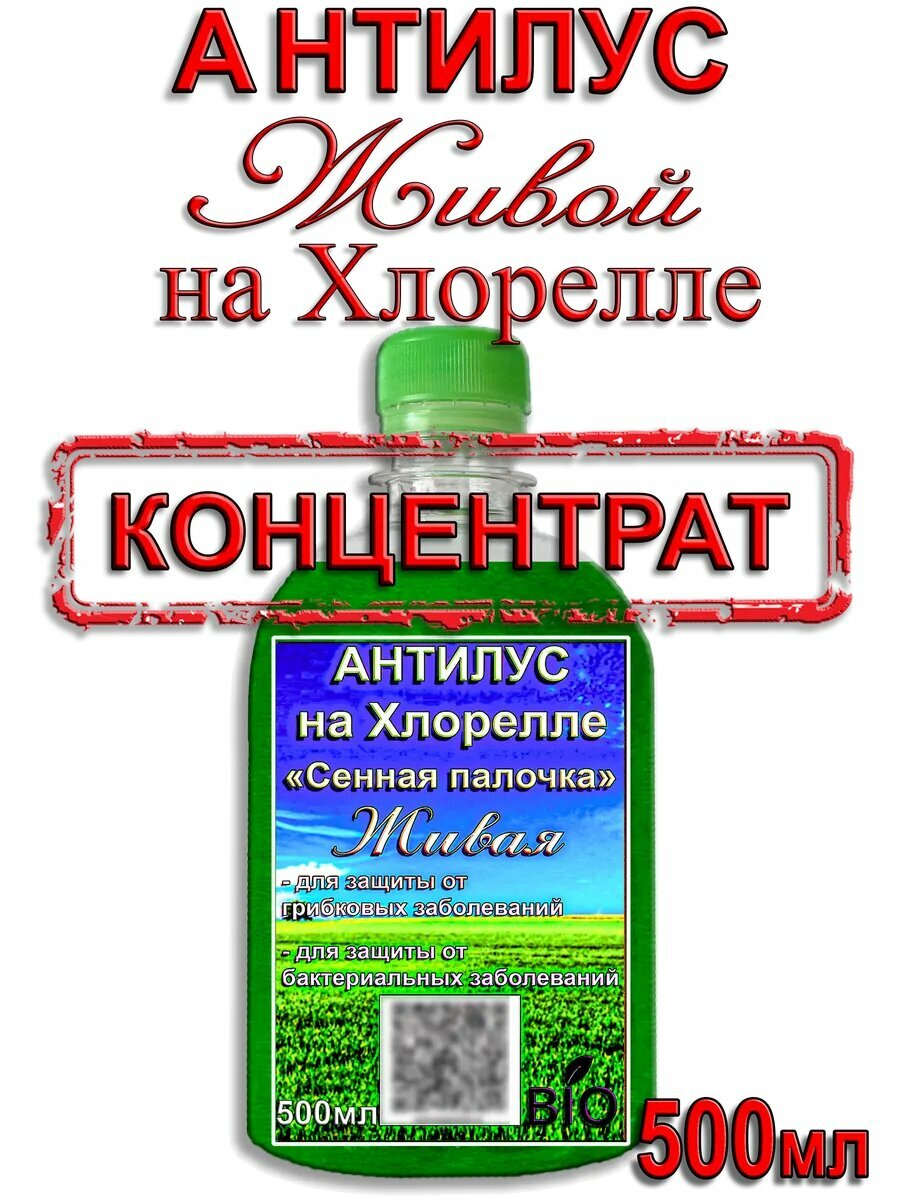 Антилус. Живой на Хлорелле (Сенная палочка), 500 мл