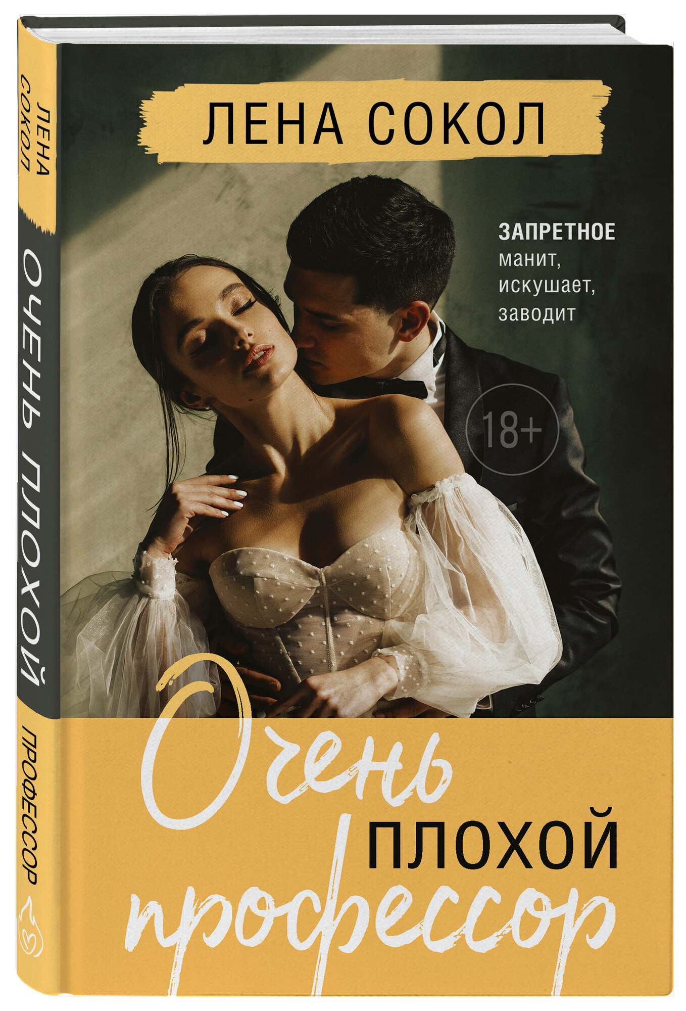 Сокол Л. Очень плохой профессор