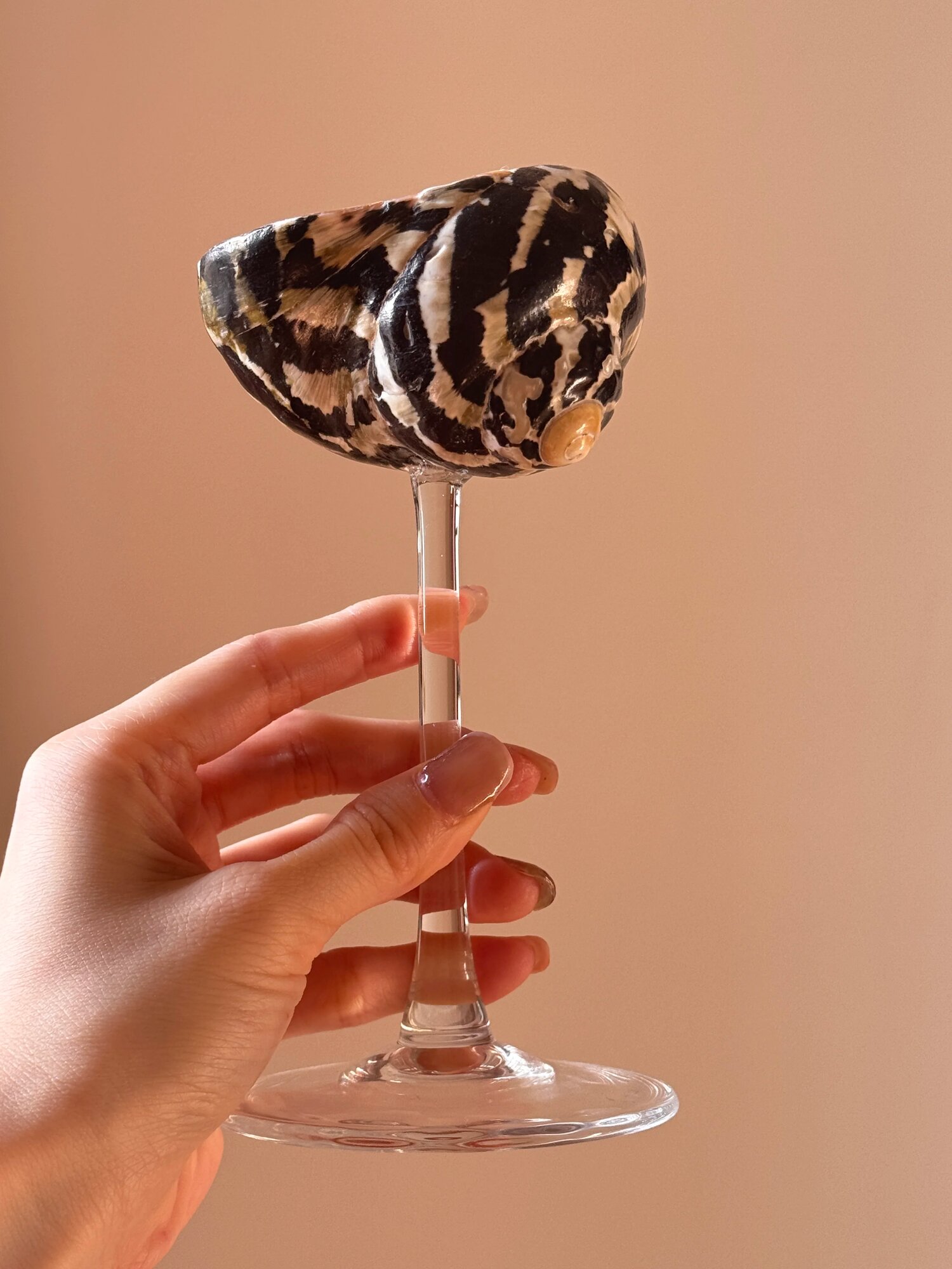 Винтажные бокалы из ракушки AhunderJiaz