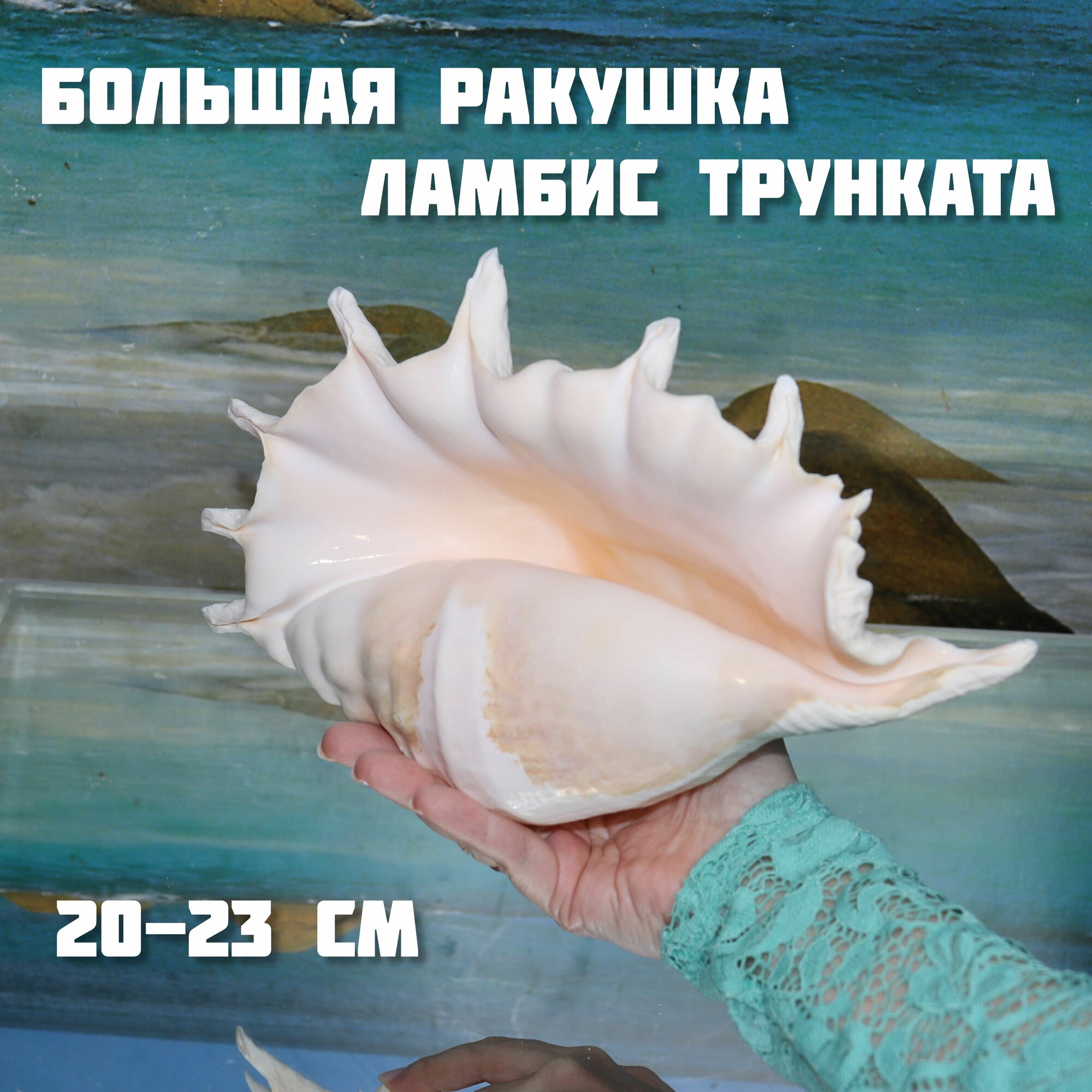 Украшение настольное интерьерное