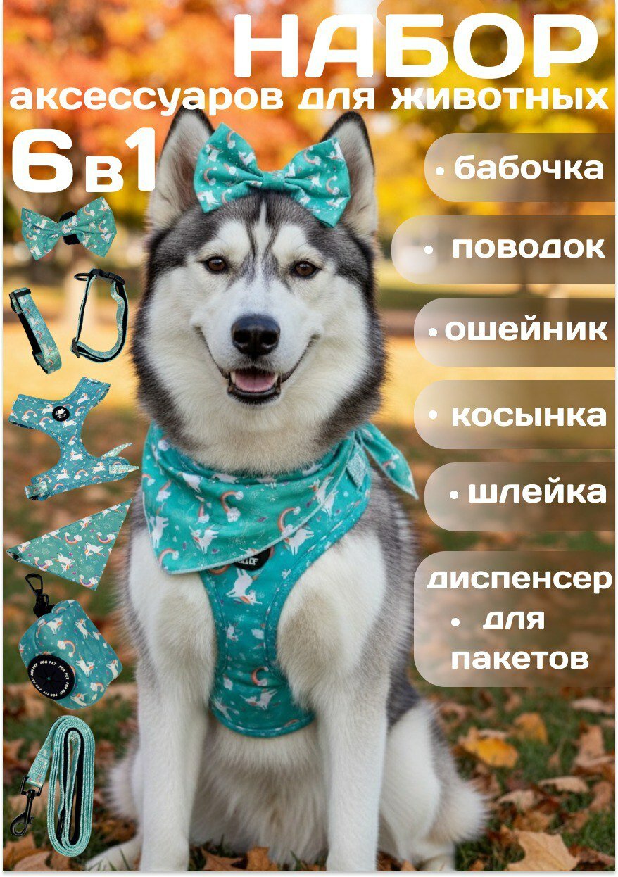 Шлейка для собак средних пород; набор; ошейник; поводок; диспенсер для пакетов выгула собак;6 предметов