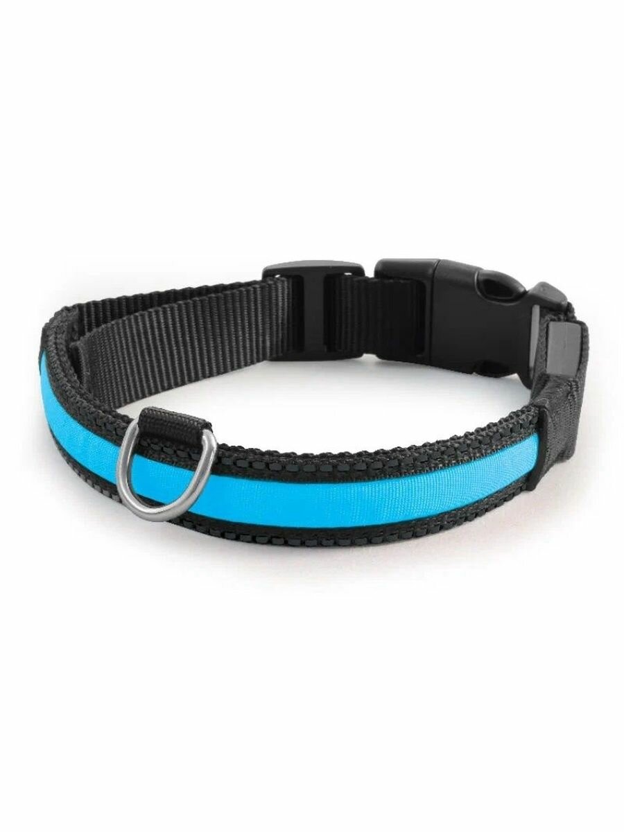 Ошейник для собак светодиодный TRIOL, цвет синий, размер M