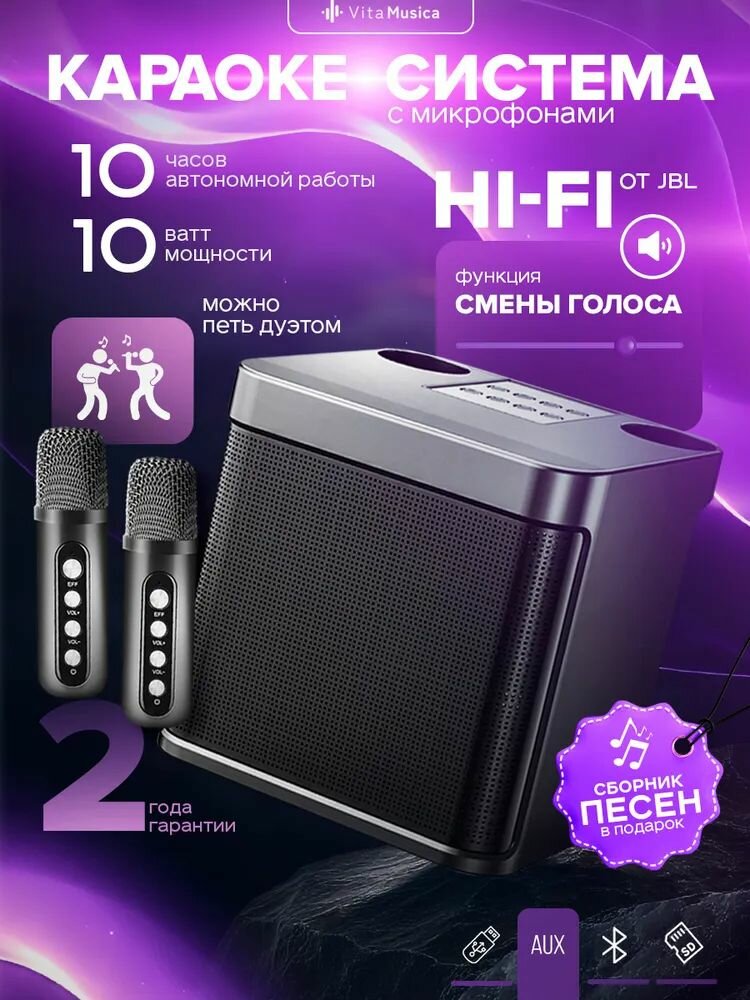 Караоке система Vita Musica с двумя беспроводными микрофонами