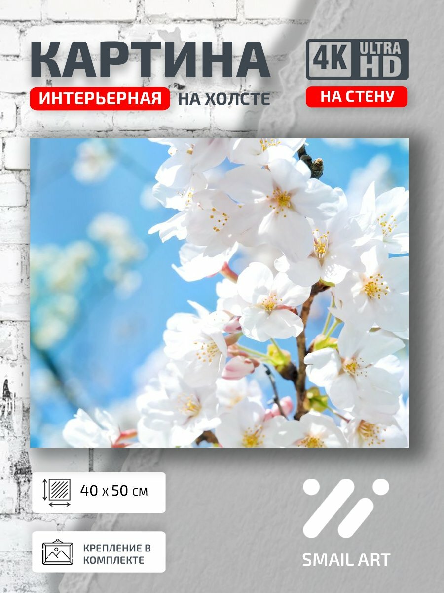 Картина на холсте интерьерная 40 на 50 на стену Белые Mood для студии атмосфера интерьер