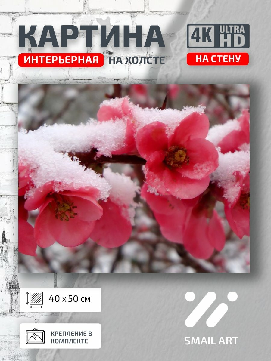Картина на холсте интерьерная 40 на 50 на стену Снегом Landscape для гостиной пейзаж декор