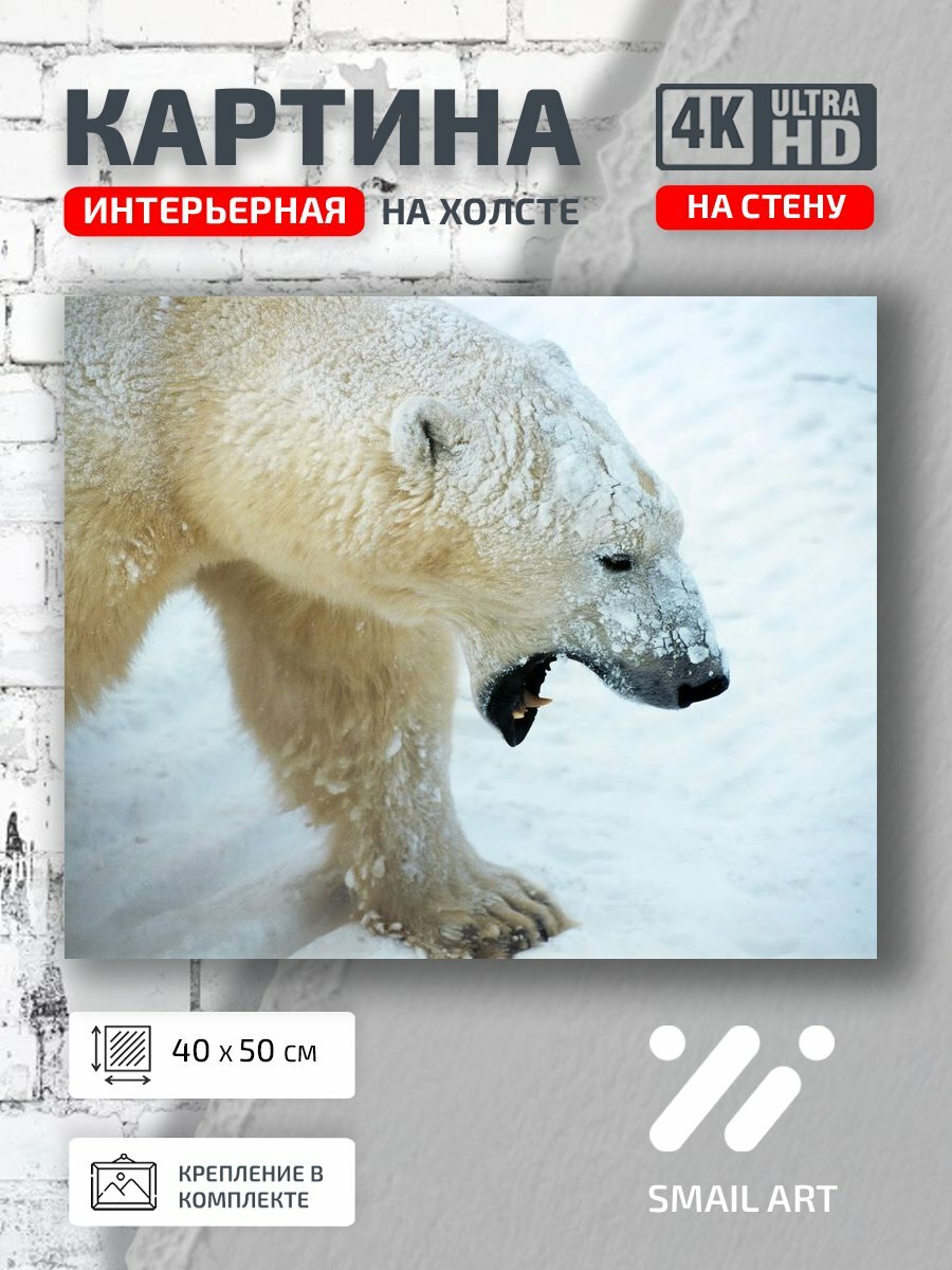 Картина на холсте интерьерная 40 на 50 на стену Медведь Animal для кафе animal style декор