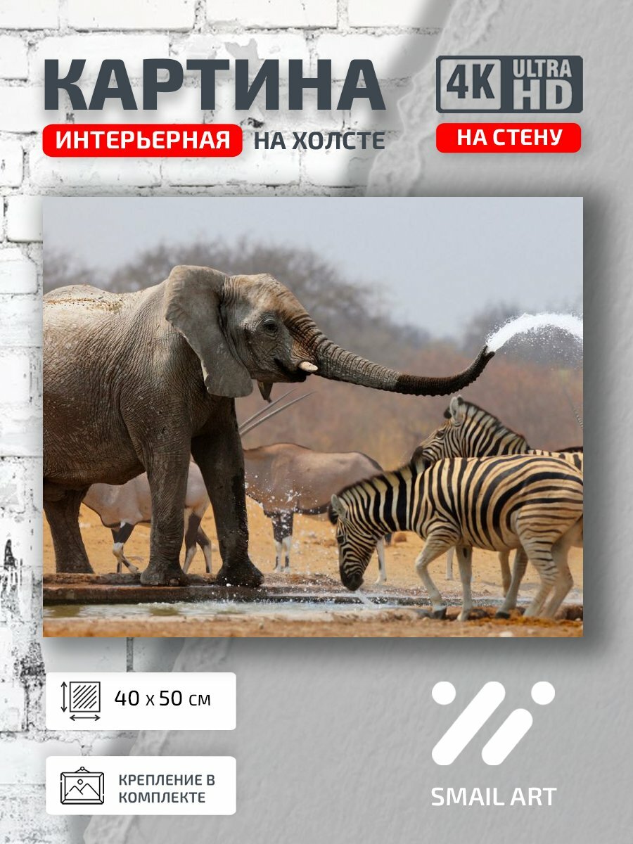Картина на холсте интерьерная 40 на 50 на стену Зебра Landscape для спальни пейзаж интерьер