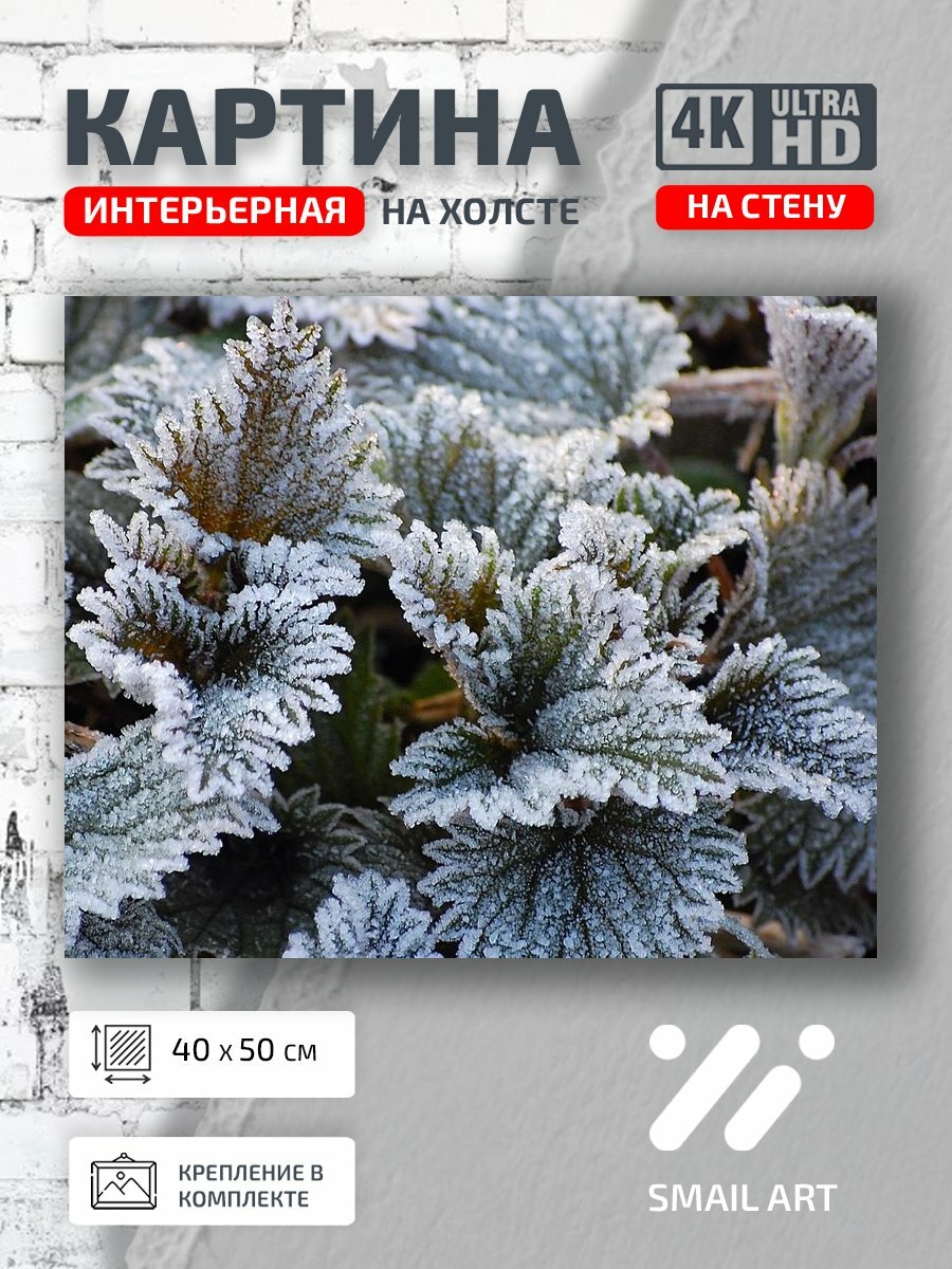 Картина на холсте интерьерная 40 на 50 на стену Зима Landscape для офиса пейзаж интерьер