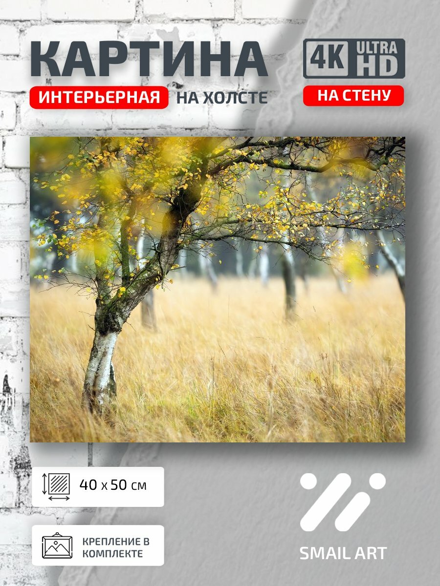 Картина на холсте интерьерная 40 на 50 на стену Трава Landscape для гостиной пейзаж декор