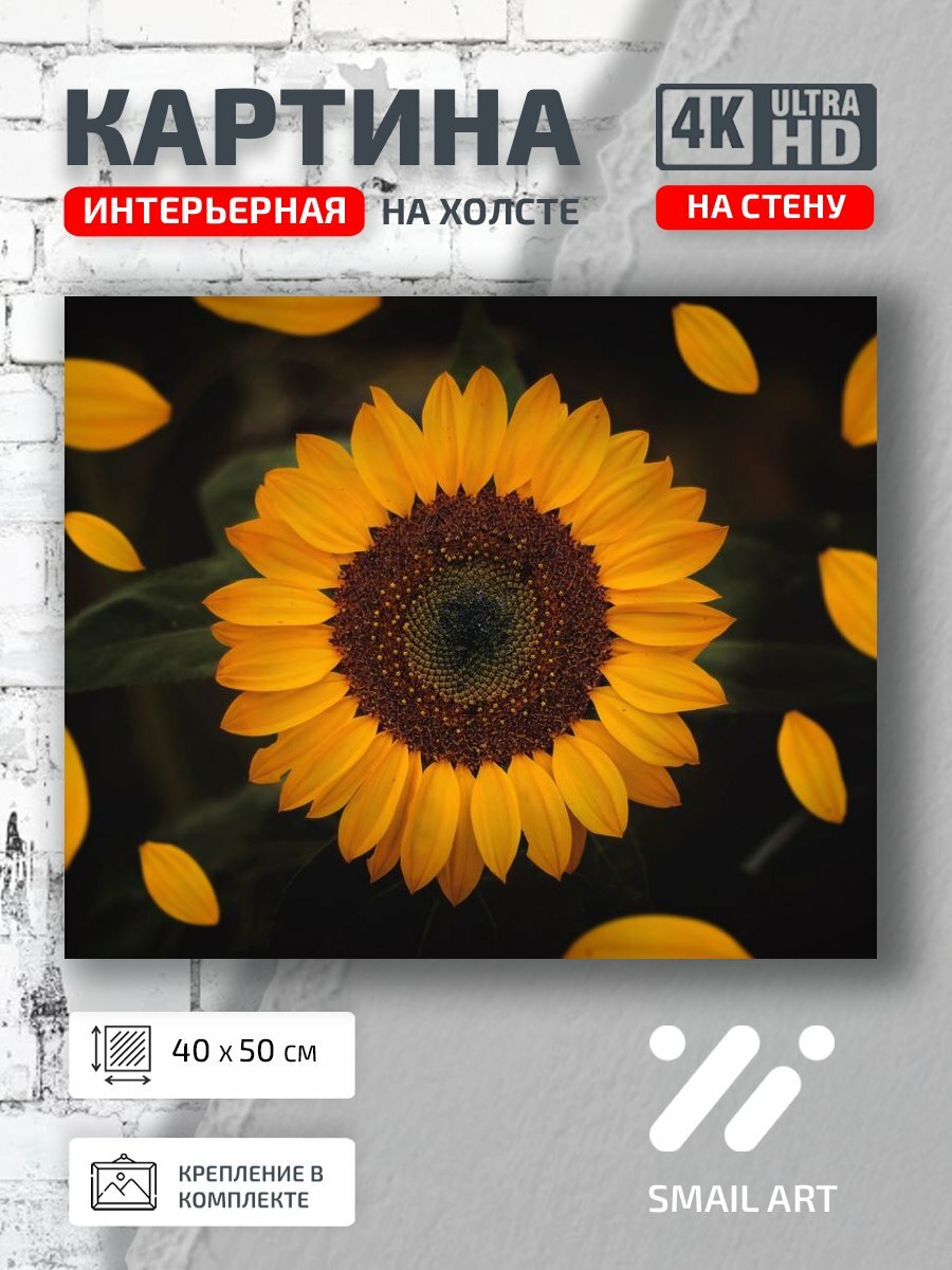 Картина на холсте интерьерная 40 на 50 на стену Подсолнух Mood для гостиной атмосфера декор