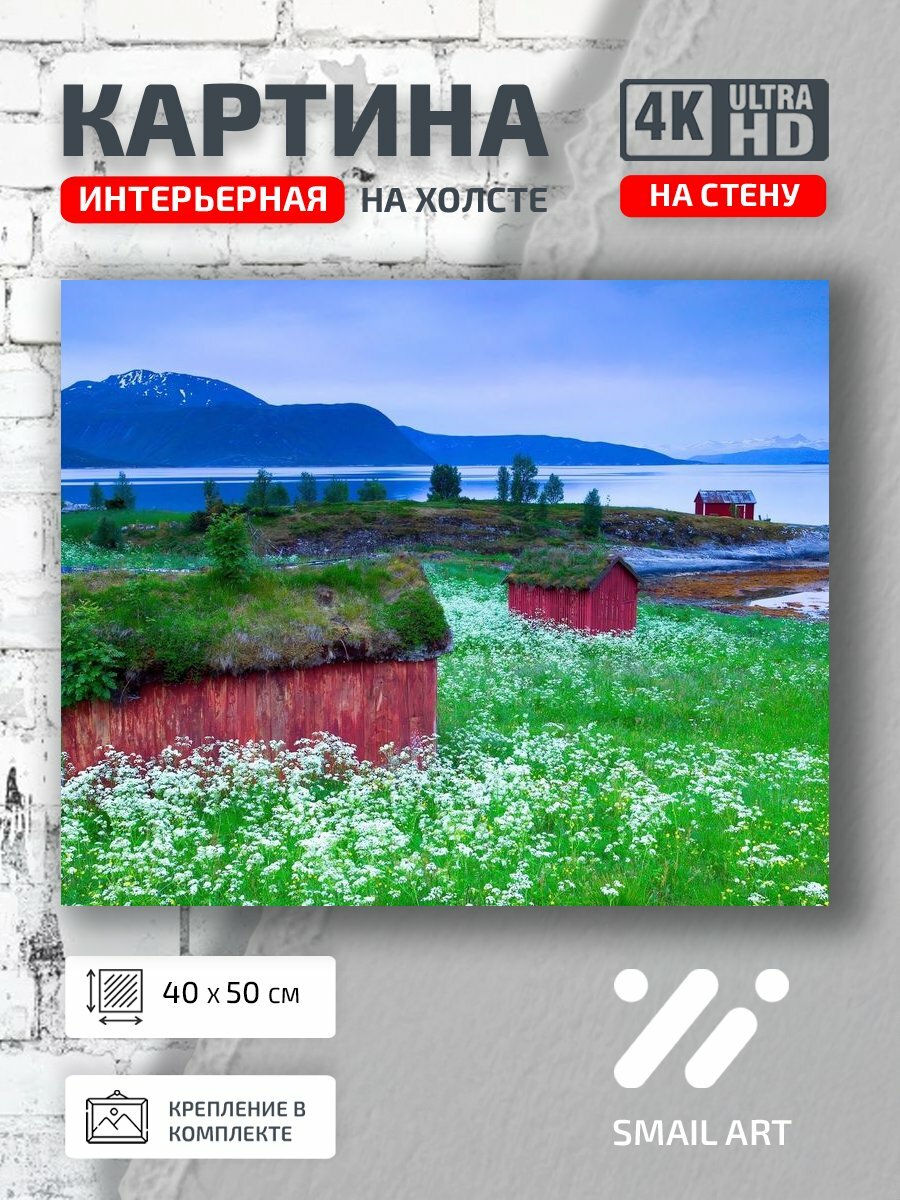 Картина на холсте интерьерная 40 на 50 на стену Поляне Landscape для спальни пейзаж декор