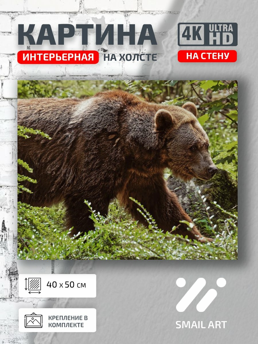 Картина на холсте интерьерная 40 на 50 на стену Хищник Landscape для спальни пейзаж декор