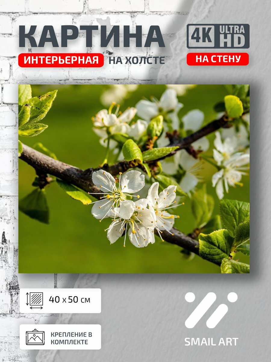 Картина на холсте интерьерная 40 на 50 на стену Зелень Mood для спальни атмосфера интерьер
